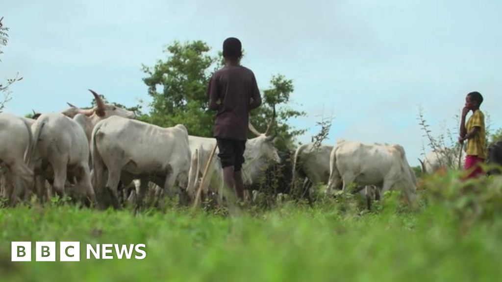Clashes over Nigerian farmland - BBC News