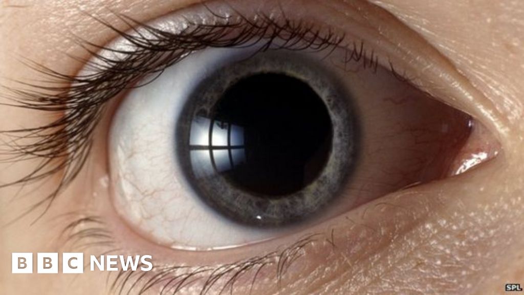 Eye contact experiment brings strangers together - BBC News