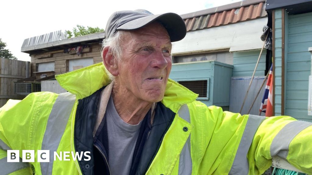 More than 100 pigeons killed in suspected arson