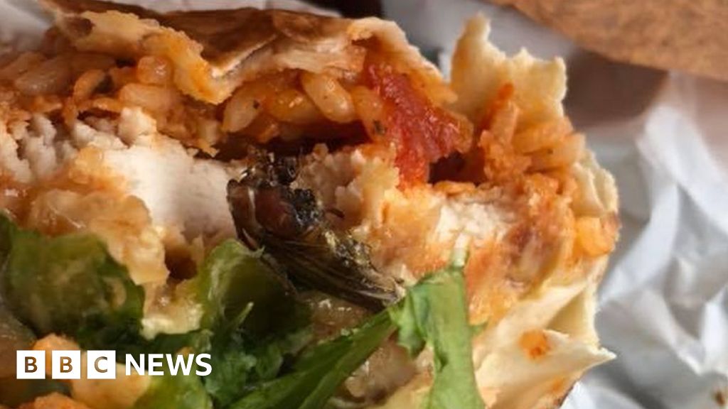 Cockroach found in Dunstable KFC Zinger burrito - BBC News