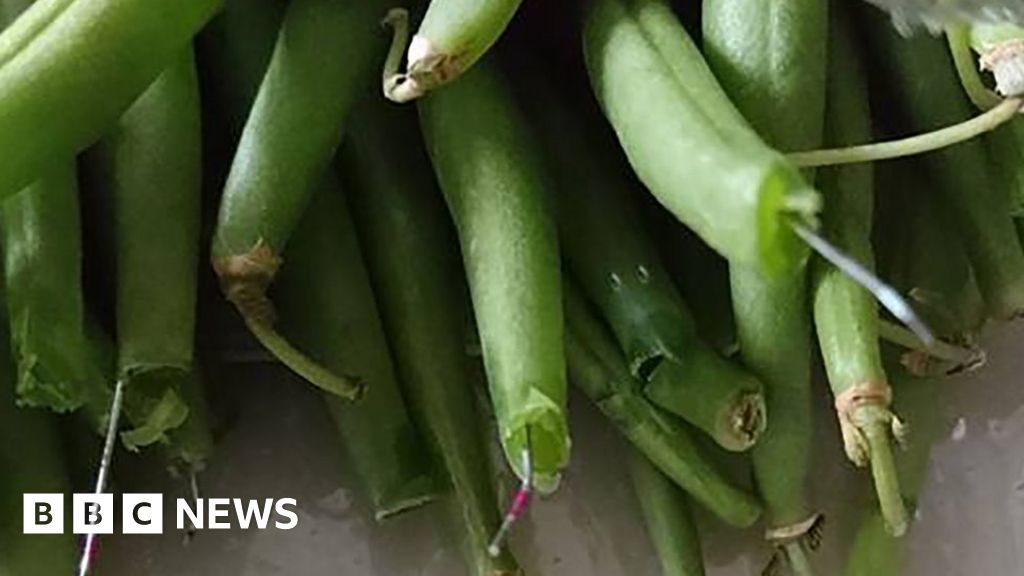 Morrisons recalls green beans after metal find - BBC News
