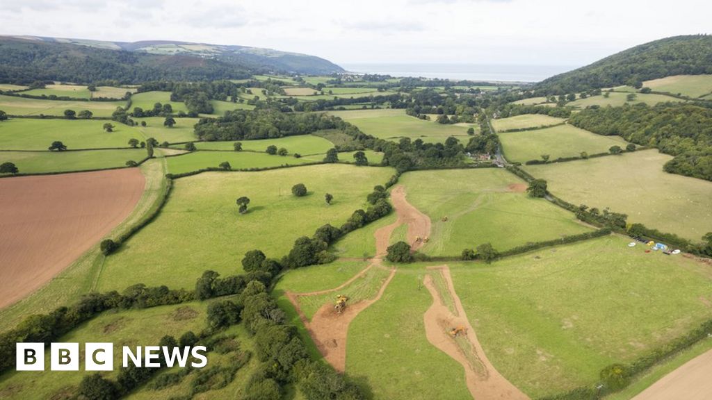 Devon nature projects receive government funding - BBC News