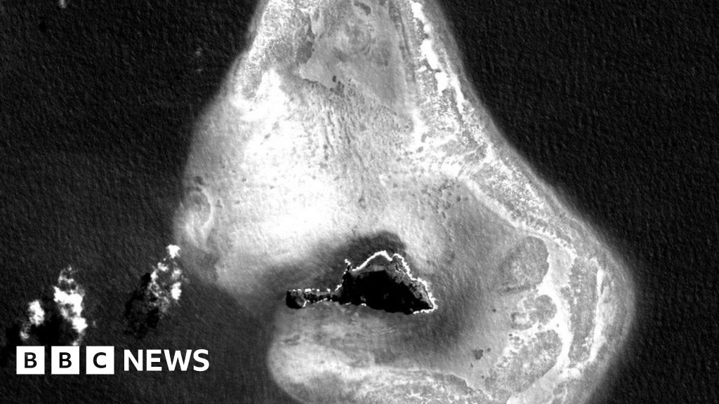 Sentinel satellite probes coral health from orbit - BBC News