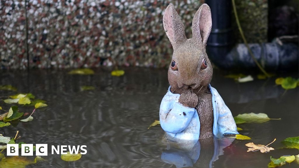 How can we stop our village flooding again? - BBC News