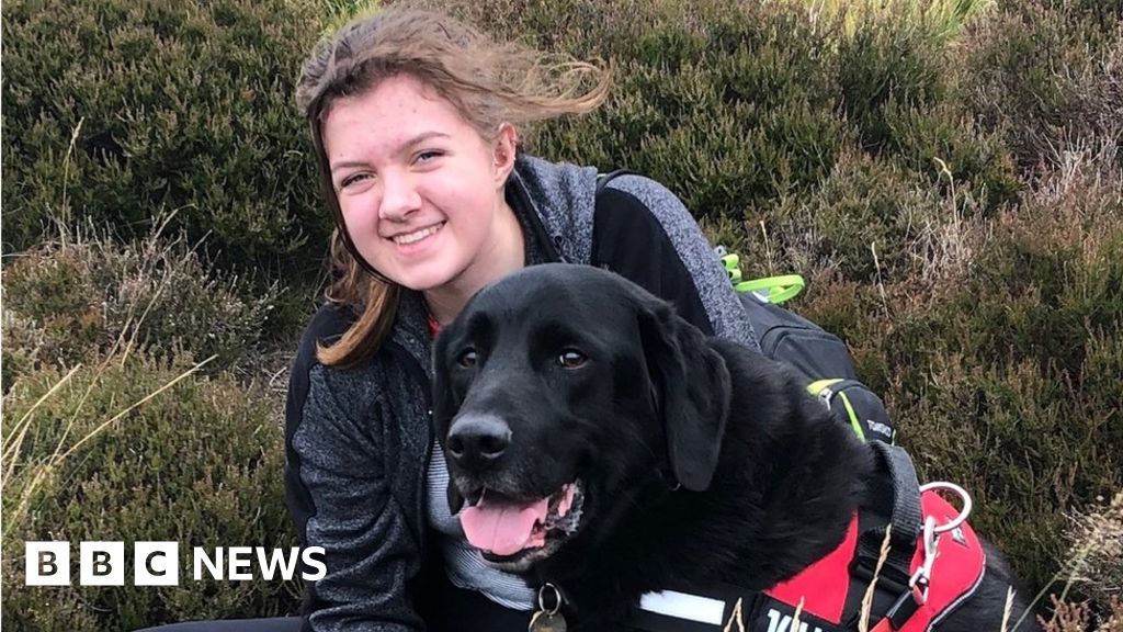 Megan Pollitt: Cardiff student died after ketamine and alcohol - BBC News