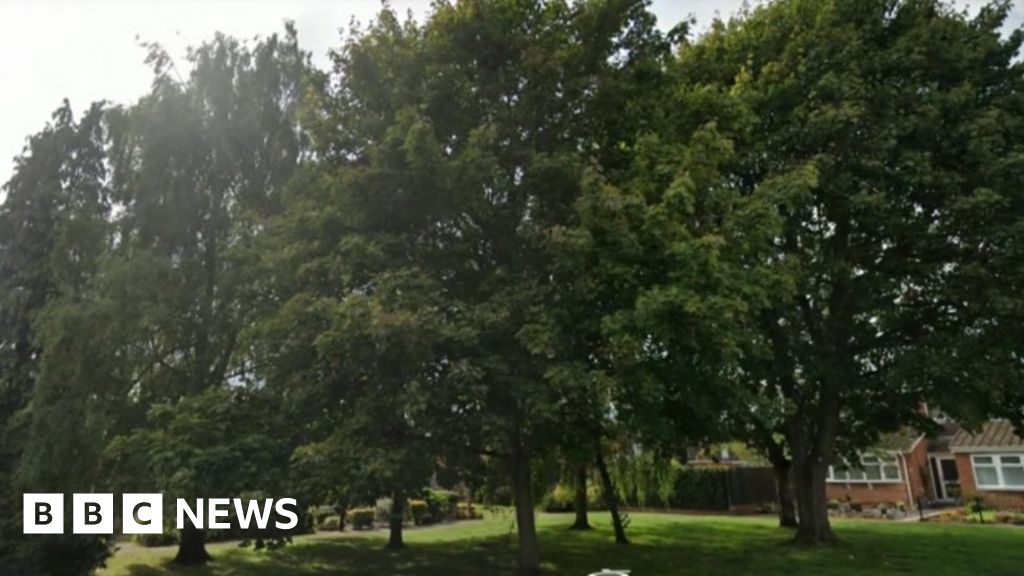 Coventry council to protect trees after residential felling - BBC News