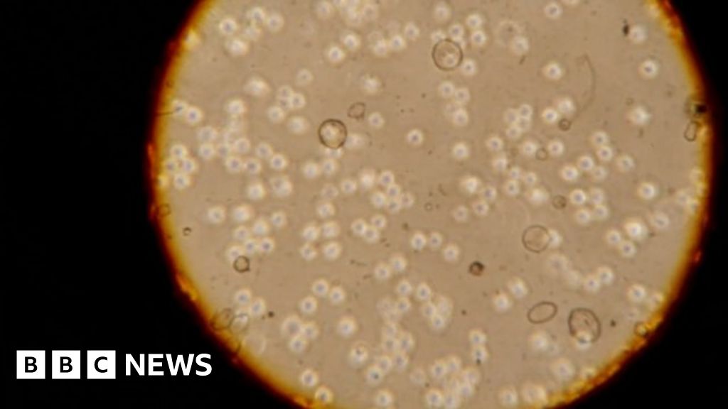 Inside a lab with scientists developing a Zika vaccine - BBC News