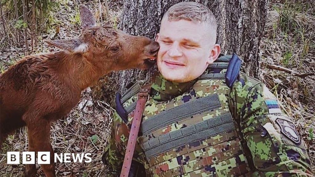 Estonian troops turn moose-sitters - BBC News