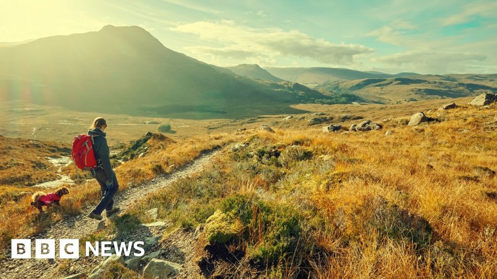 Coronavirus: 'No judgement' over lockdown mountain rescues - BBC News