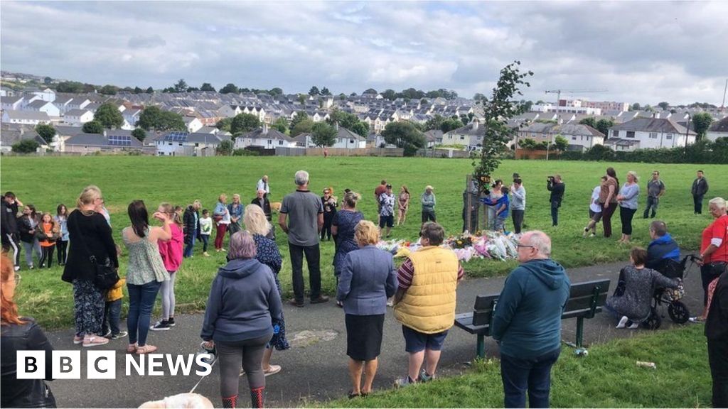 Plymouth shooting: Keyham five-year 'recovery plan' announced - BBC News