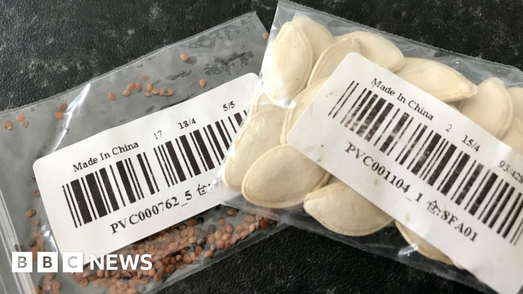 Gardeners warned not to plant mystery seeds - BBC News