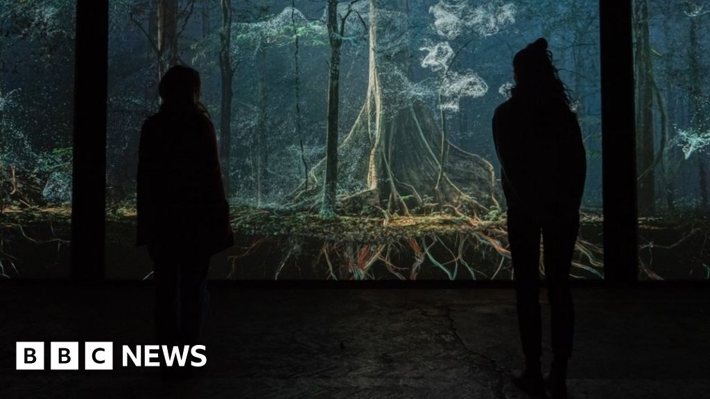 Art: Immersive nature exhibition opens in Oxo Tower - BBC News