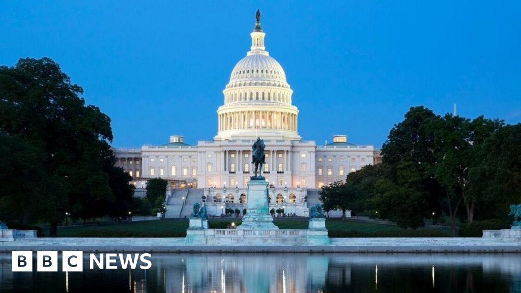 How might Trump 'drain the swamp'? - BBC News