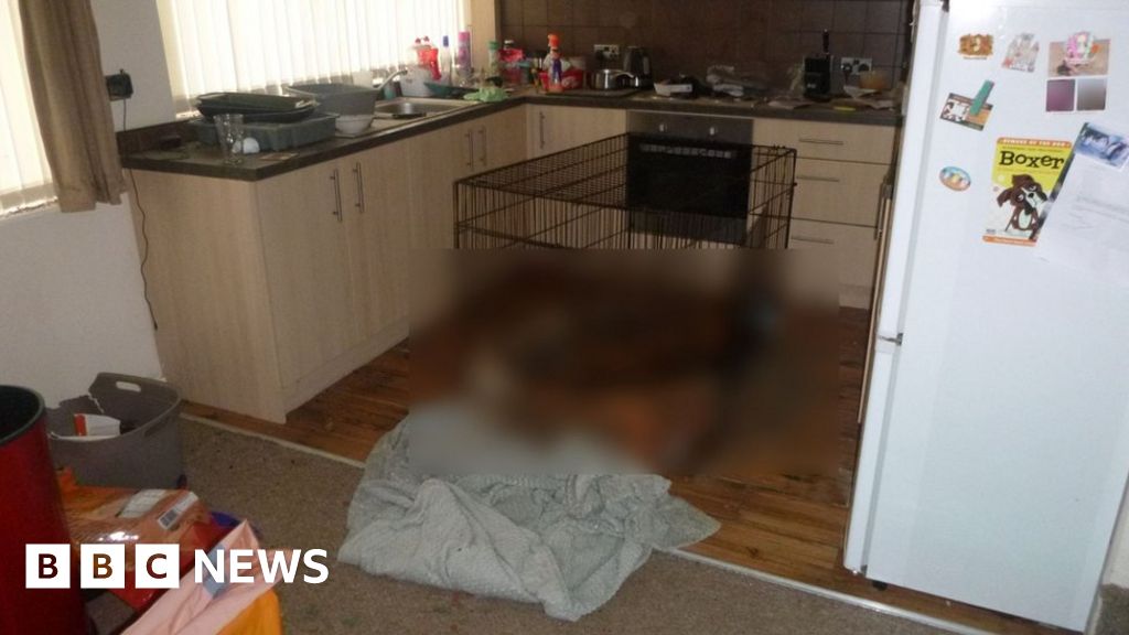 Maltby caged dogs 'starved to death' with food in sight