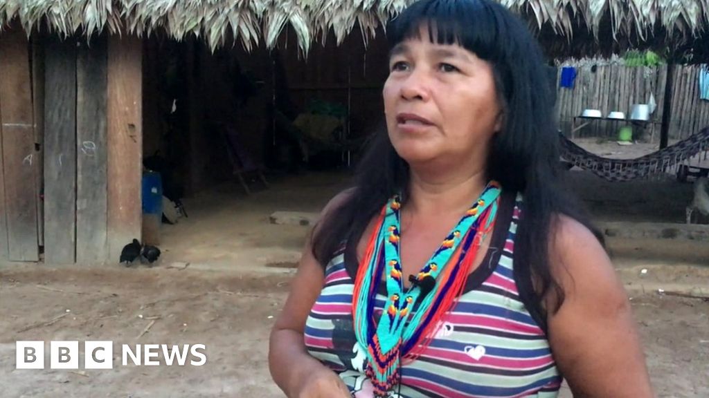 The tribe standing up to illegal Amazon loggers in Brazil - BBC News