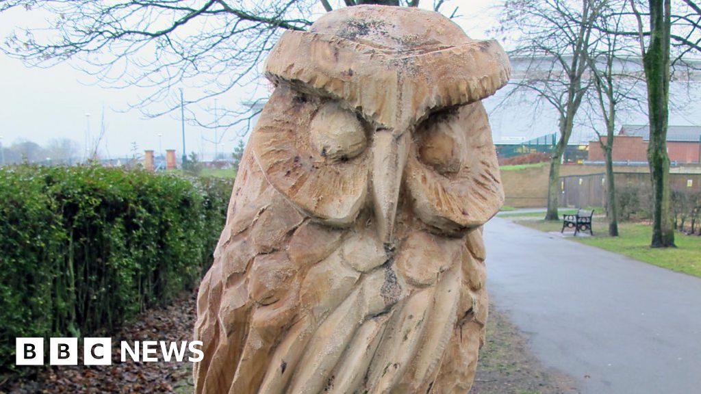 Hednesford Park seeks names for new 'woodland' animals - BBC News