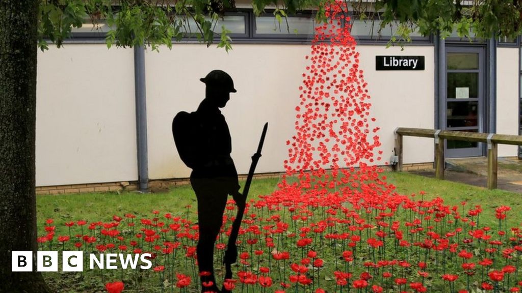 Armistice Day: Marlow pupils create poppy art piece from bottles - BBC News