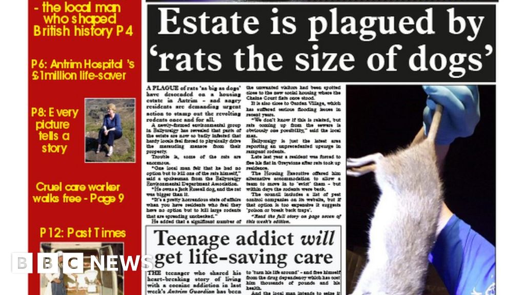 Weekly paper review: Rat raid on estate and double stabbing - BBC News
