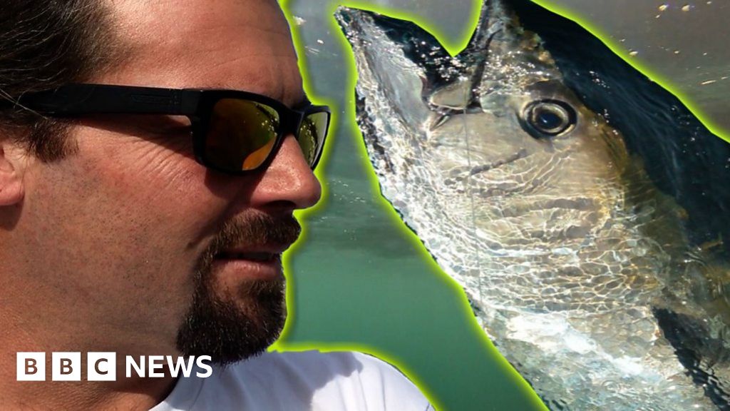 'I battled giant tuna for four hours and let it go' - BBC News