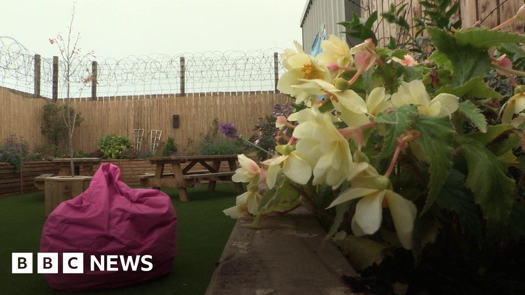 'UK's first' prison sensory garden inspires inmates' new career - BBC News