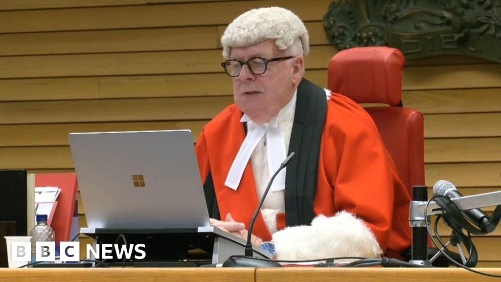 Toddler suffered '50 injuries in frenzied attack'