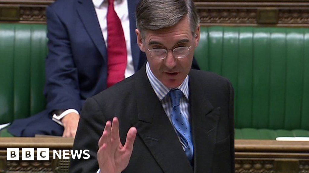 Rees-Mogg 'bullying Brexit whistleblowers', says doctor - BBC News