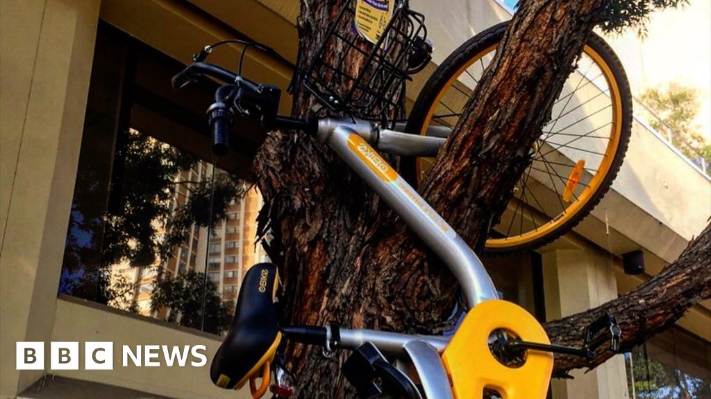 Bike-share teething pains: 'They’re throwing them in rivers' - BBC News