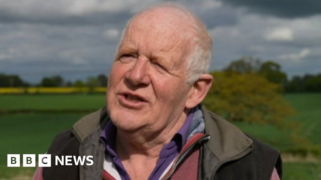 Pig farm in Shropshire to close due to rise in feed price - BBC News