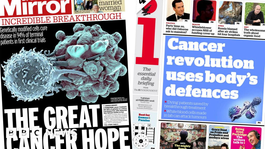 Newspaper headlines: Cancer 'cure' hope, Stephen Fry's 'bag lady' and ...