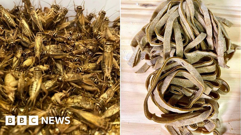 Will insect food take off across Europe? - BBC News