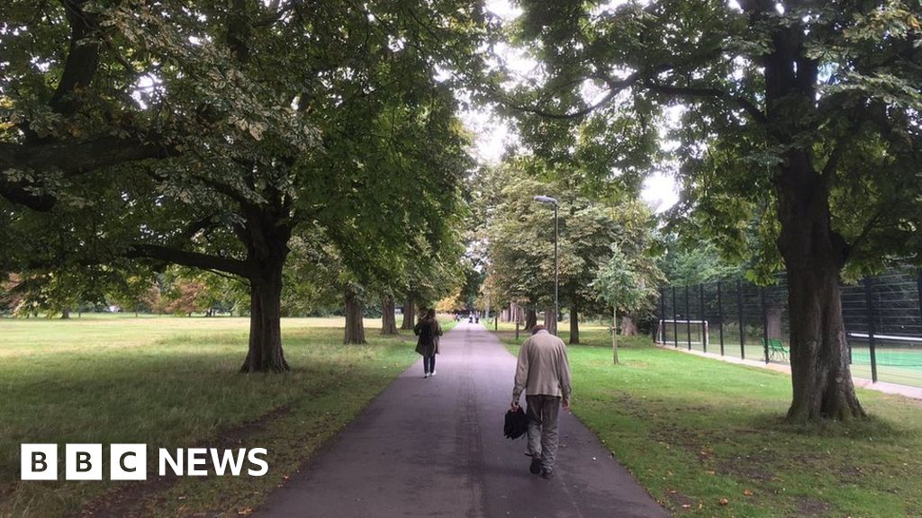 Tooting Common's trees: A mayoral policy contradiction - BBC News