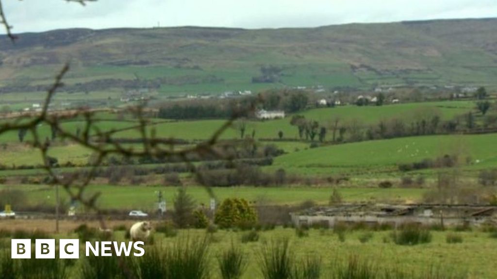 Severed Deer Heads Found On Border Road