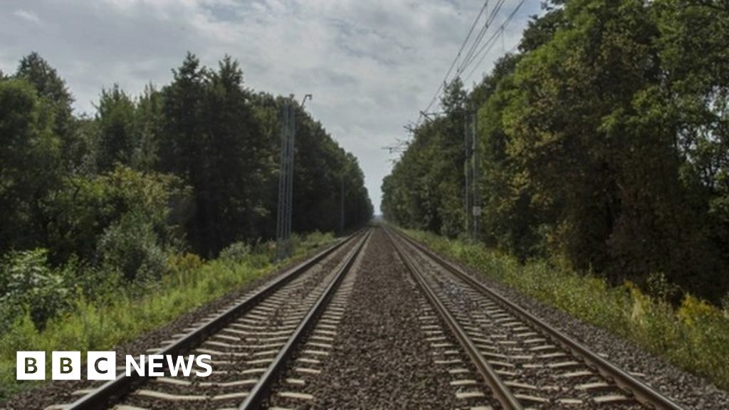 Poland radar image 'almost certainly Nazi train' - BBC News