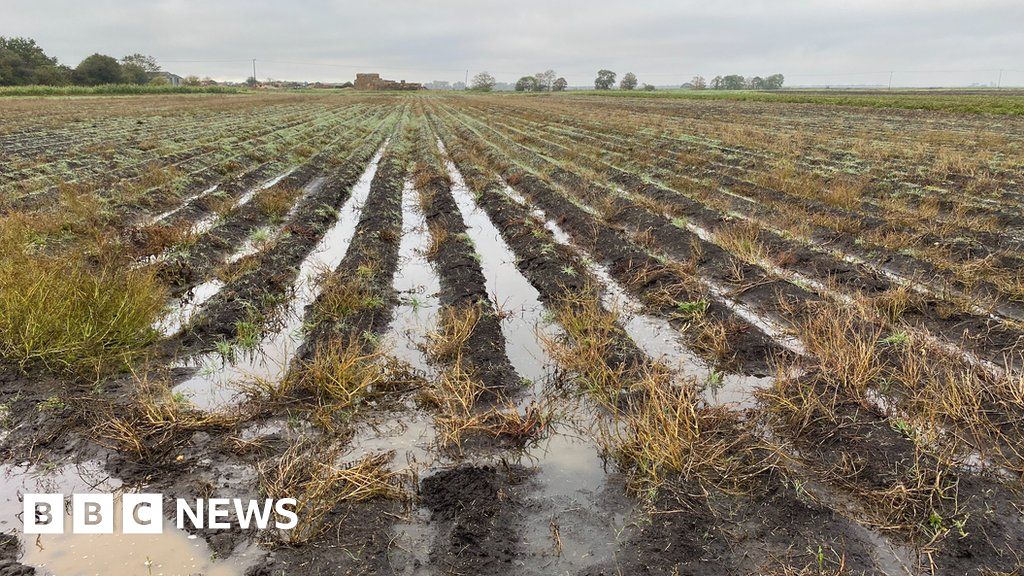 Ramsey farmer says wet weather has affected potato crop