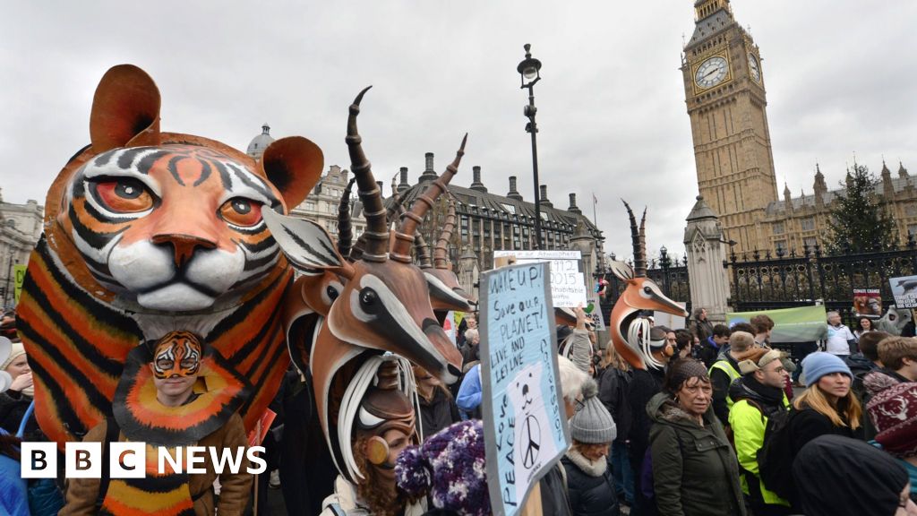 COP21: Thousands join London climate change march - BBC News