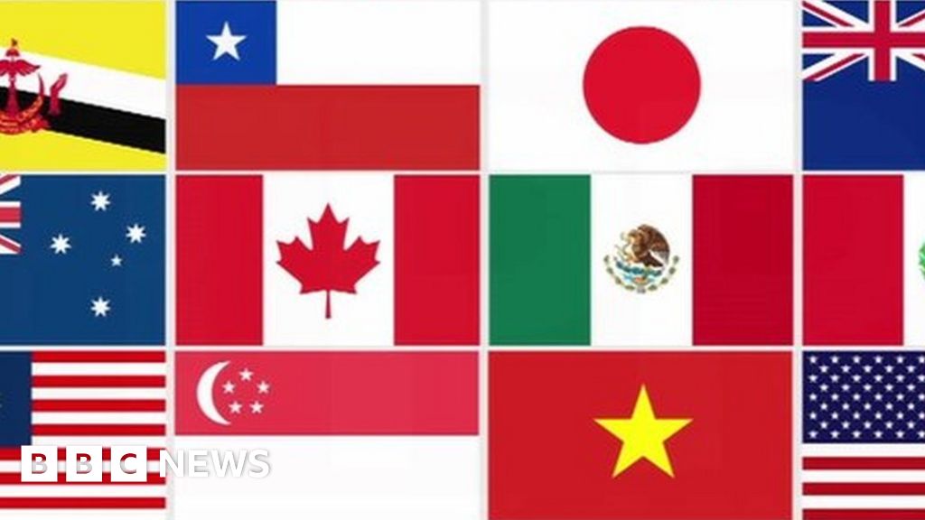 Trans-Pacific Partnership: What is it and what does it mean? - BBC News