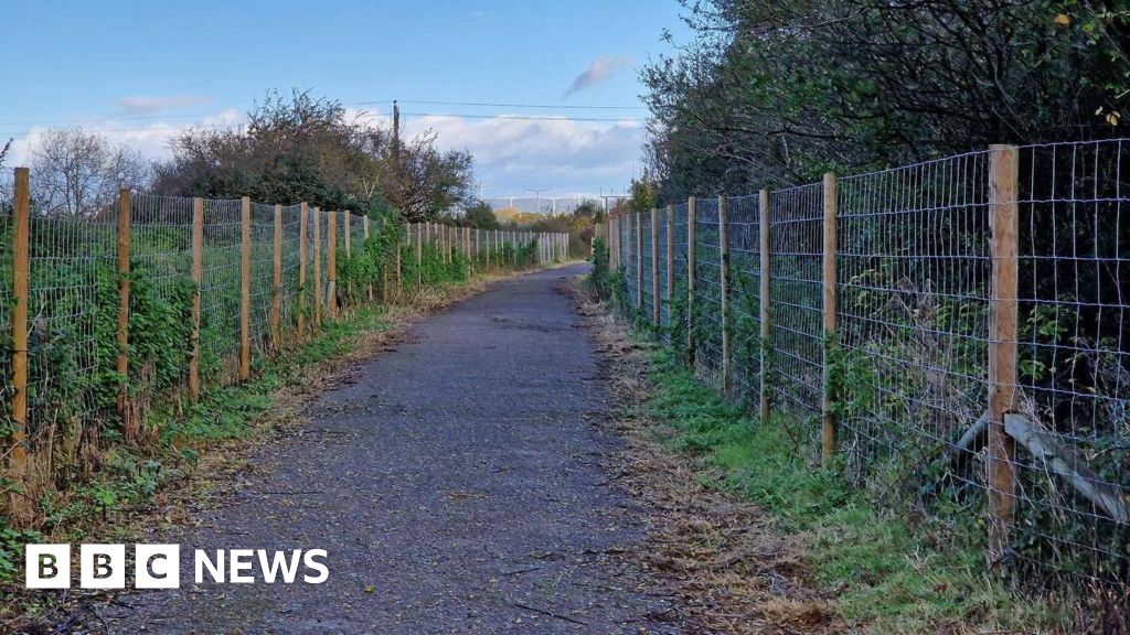 New car-free section for Strawberry Line cycle and walking route - BBC News