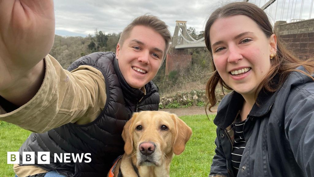 Bristol guide dog fosterers call for more volunteers - BBC News