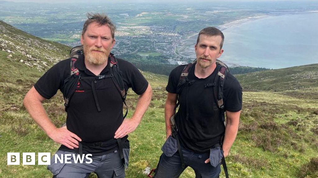 Slieve Donard: Signs of life after devastating mountain fire - BBC News