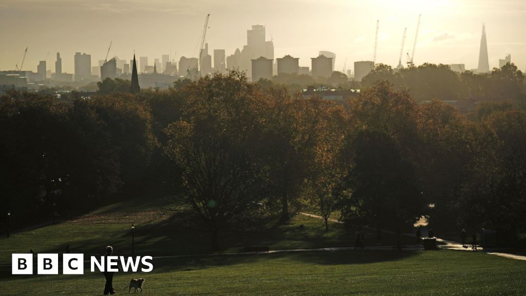 No New Year's Eve fireworks on Primrose Hill - Met Police - BBC News