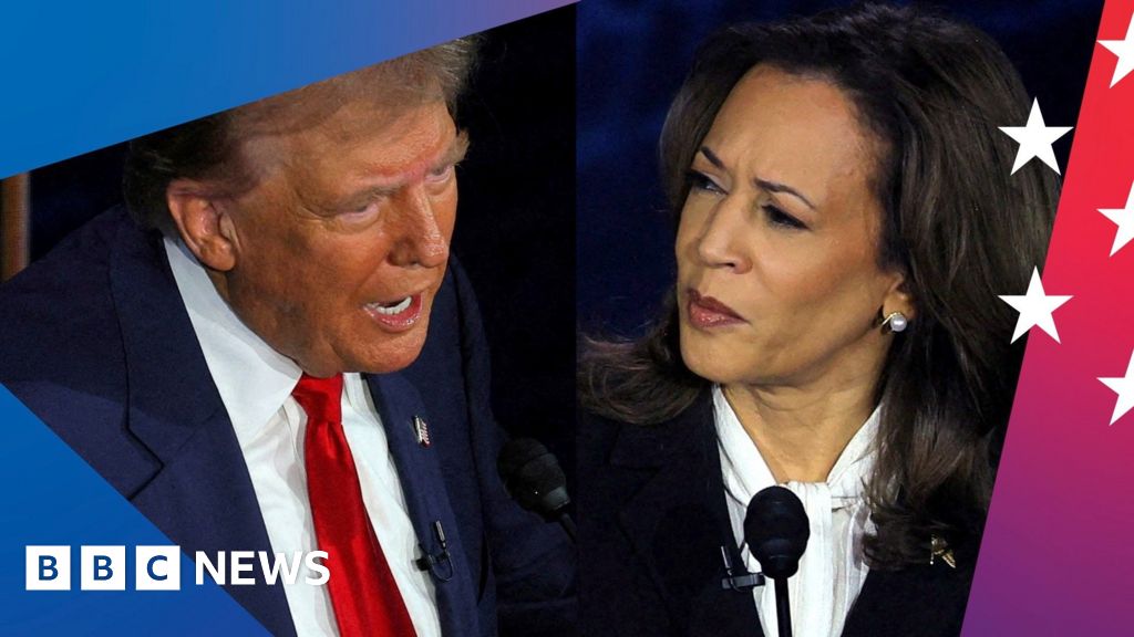 US election 2024: Who are the candidates? - BBC News