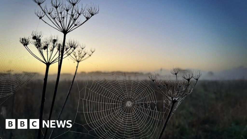 Berkshire's Big Picture: 7 October - 13 October 2024