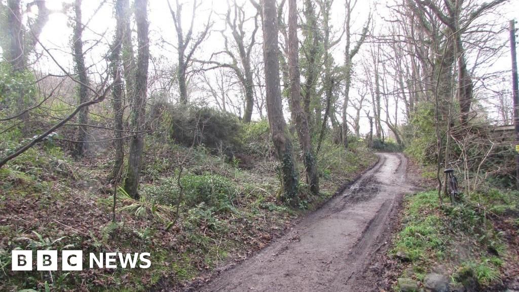 Mount Hawke woodland to be registered as common