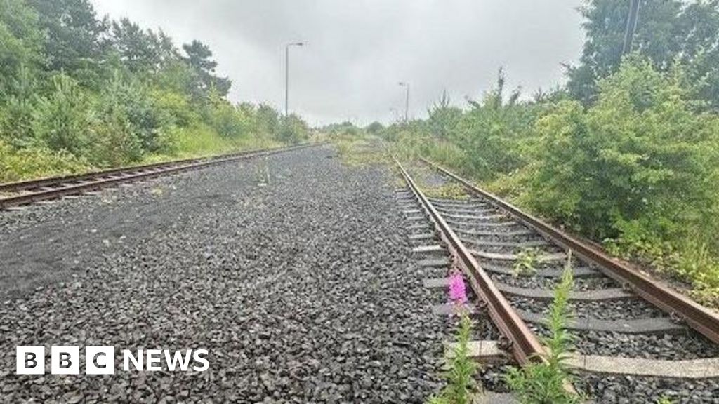 Leamside Line's return given government boost - BBC News