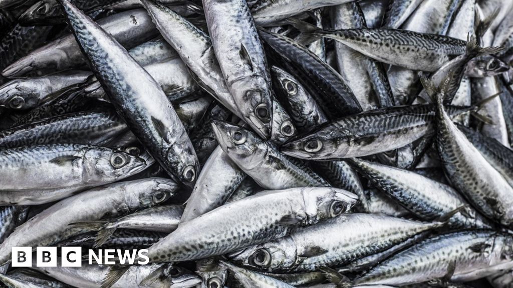 Orkney Iron Age woman's diet of 'fish suppers' - BBC News