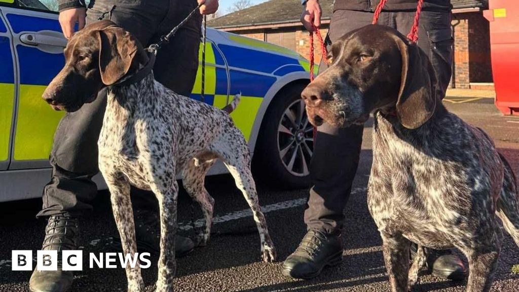 Humberside Police dogs to work alongside online investigation team