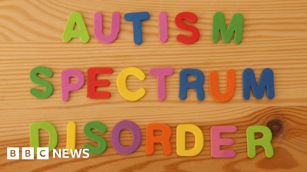 Swansea council specialist autism unit plans unveiled - BBC News