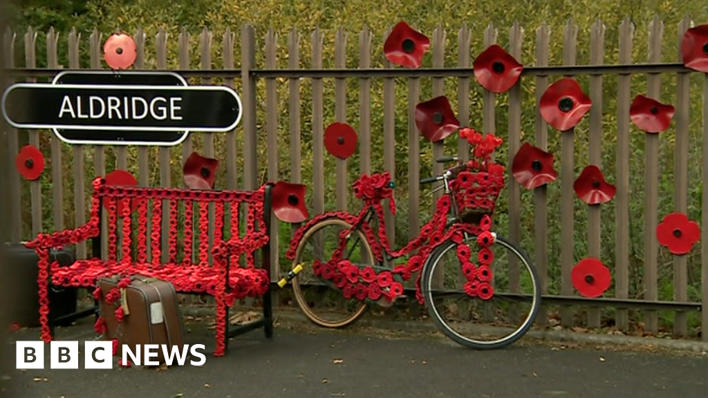 Residents on 'Poppy Road' pay tribute to the fallen - BBC News