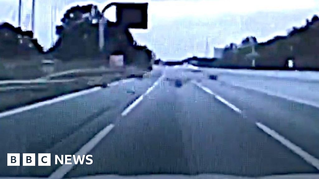 M4 motorway shut in Berkshire as geese take flight