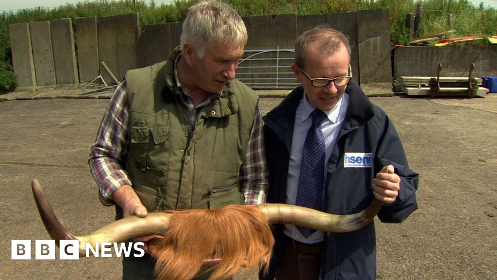 Farm leader in cow attack safety warning